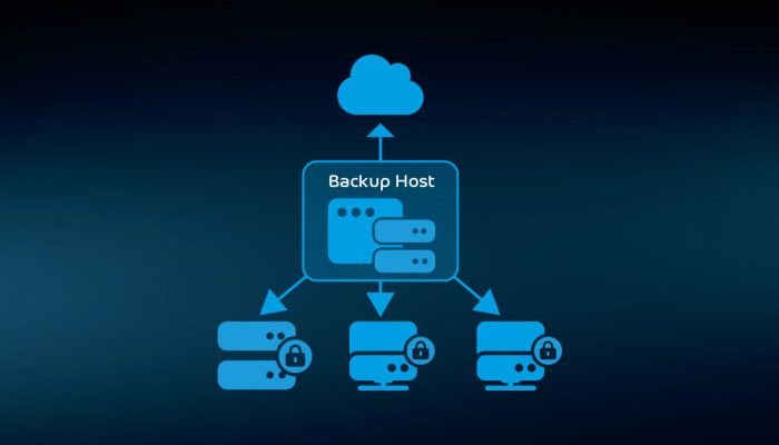 Endpoint Backup Solutions | Meridian Solutions